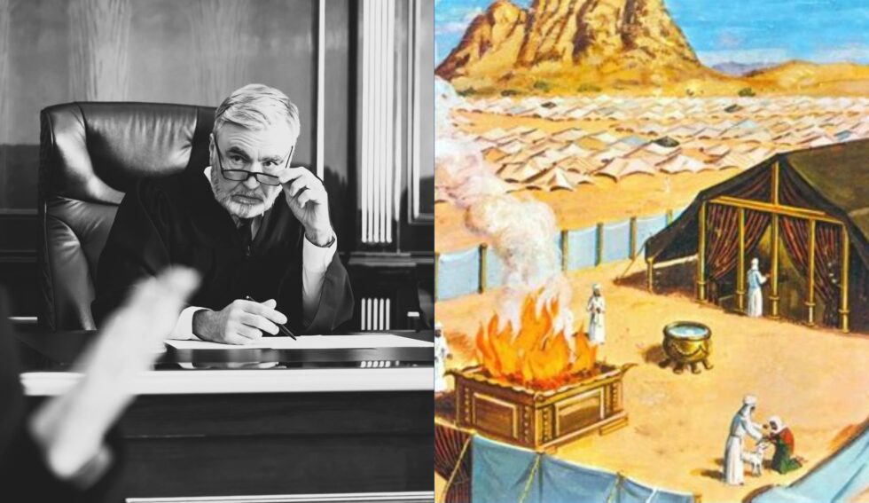 In Which I Invite You to Walk Away from The Courtroom | Here's the Joy